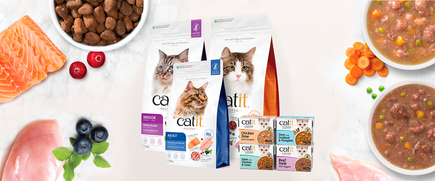 The Catit Kitchen – Catit UK - Official Catit Brand Store
