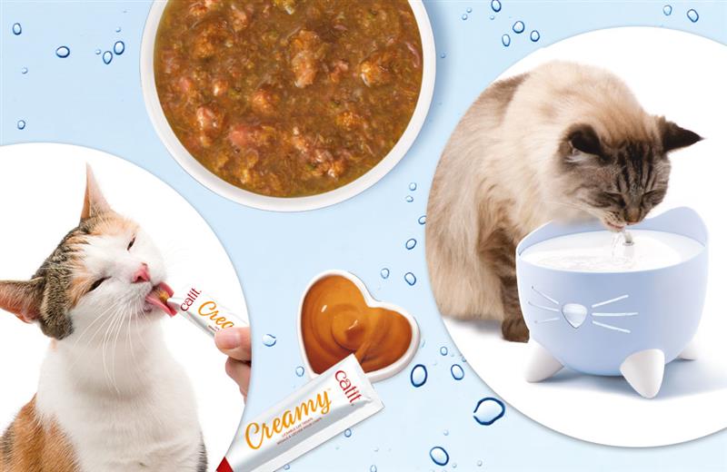 Cat Hydration Essentials – Page 2 – Catit UK - Official Catit Brand Store