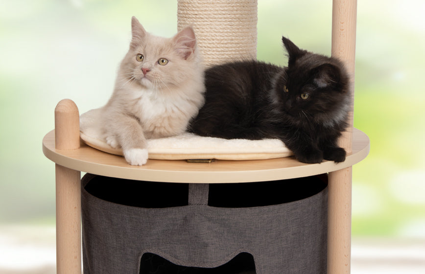 Big Savings on Cat Trees – Catit UK - Official Catit Brand Store