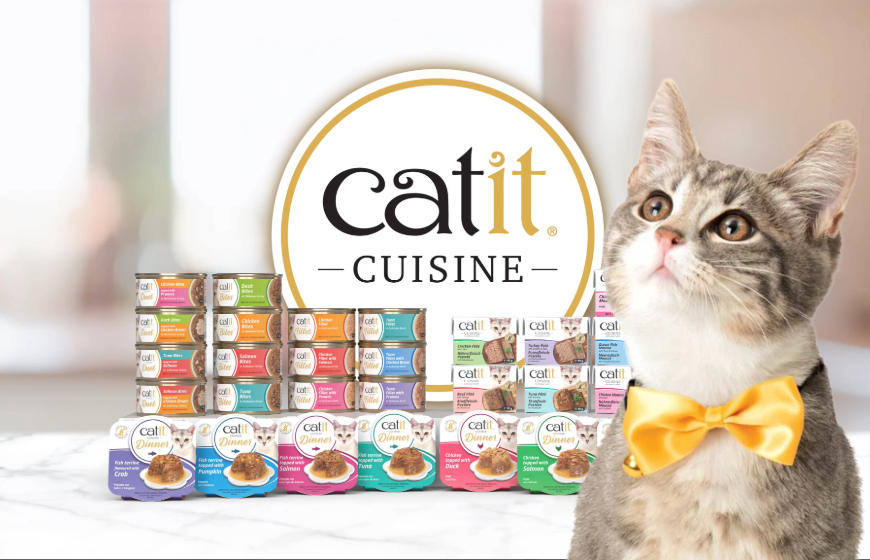 Catit Cuisine Variety Packs – Catit UK - Official Catit Brand Store