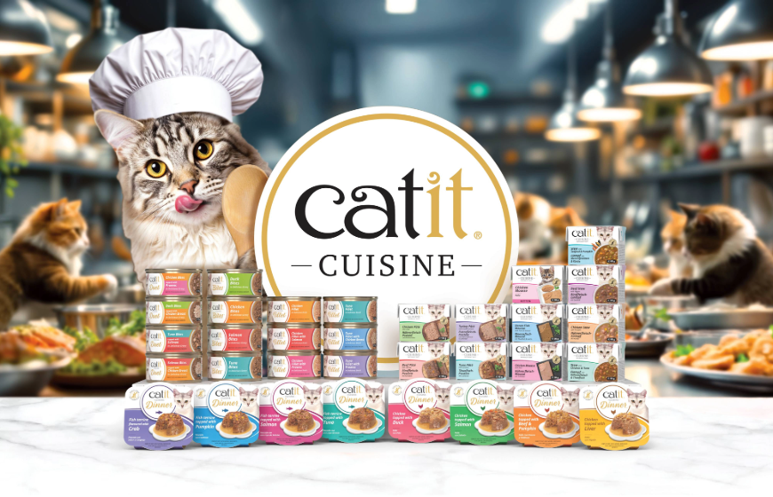 What's New in the Catit Kitchen – Catit UK - Official Catit Brand Store