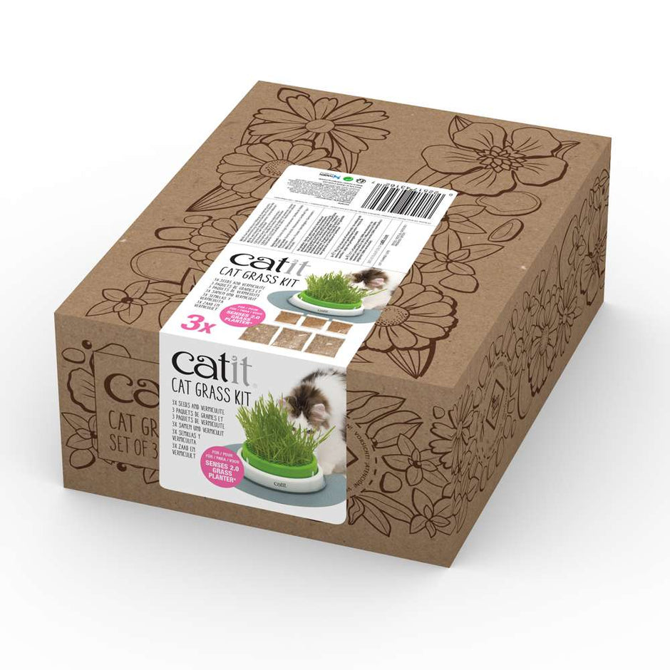 Cat Grass – Catit UK - Official Catit Brand Store