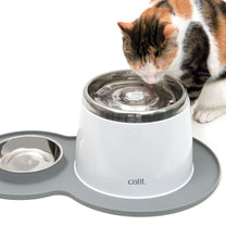 Catit Silicone Peanut Placemat | Non-Slip Cat Feeding Mat | Catit UK ...