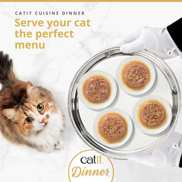 Dinner Variety Pack – Catit UK - Official Catit Brand Store