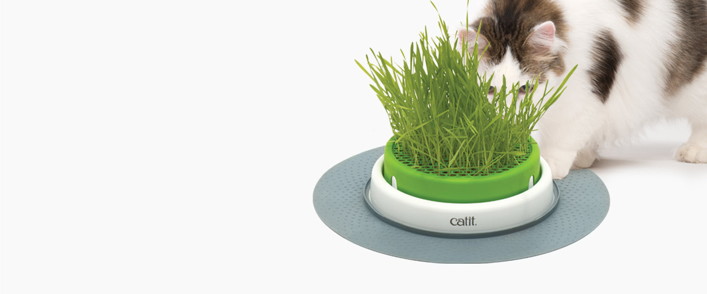 Catit Official UK Store – Catit UK - Official Catit Brand Store