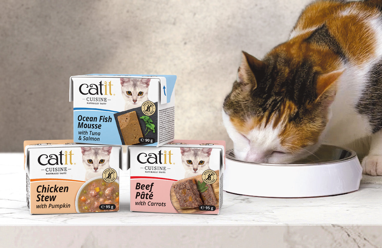 Catit Official UK Store – Catit UK - Official Catit Brand Store