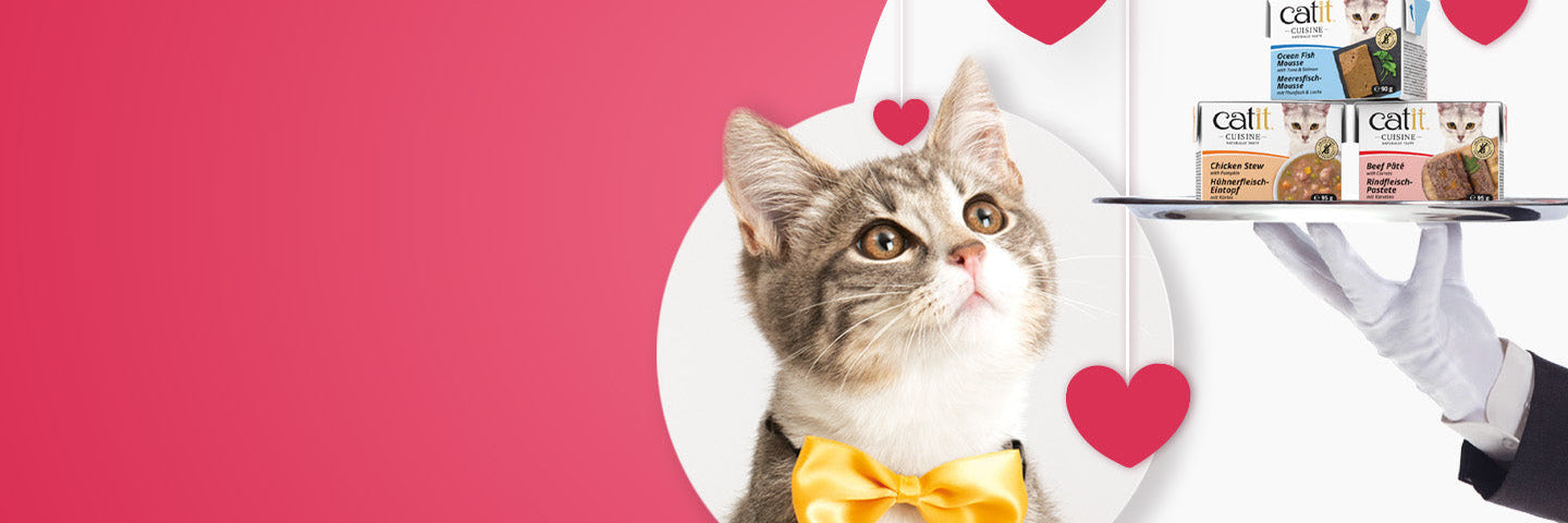 Catit Official UK Store – Catit UK - Official Catit Brand Store