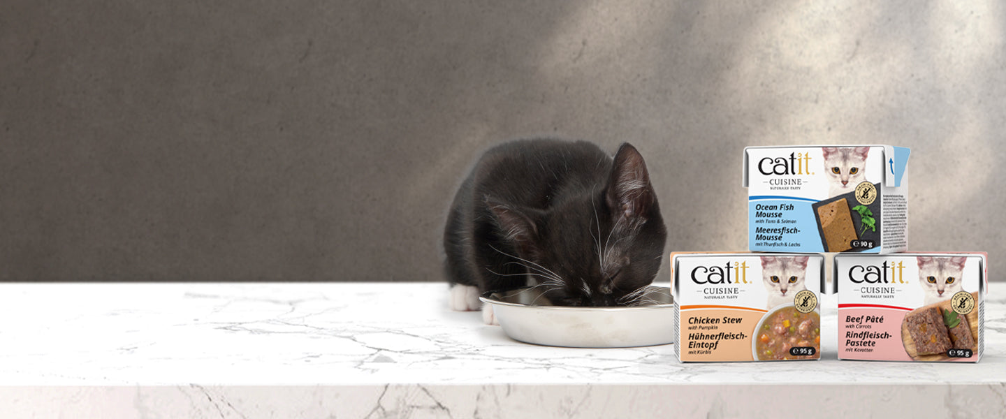 Catit Official UK Store – Catit UK - Official Catit Brand Store