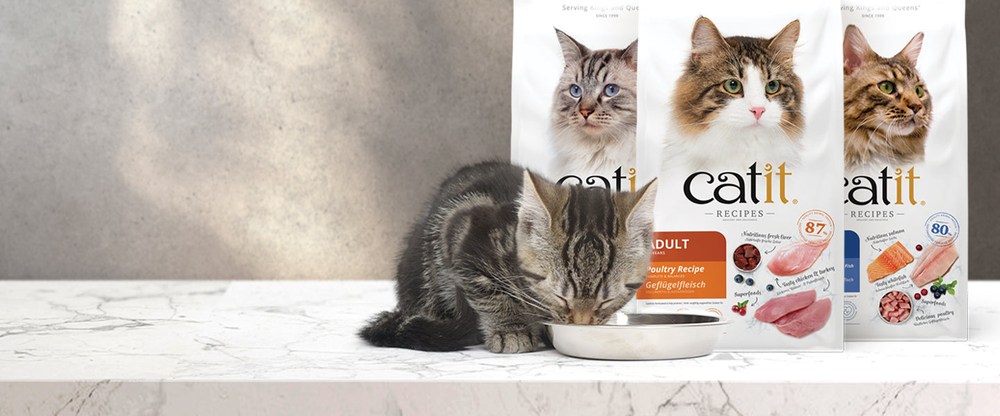 Catit Official UK Store – Catit UK - Official Catit Brand Store