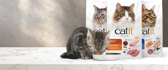 Catit Official UK Store – Catit UK - Official Catit Brand Store