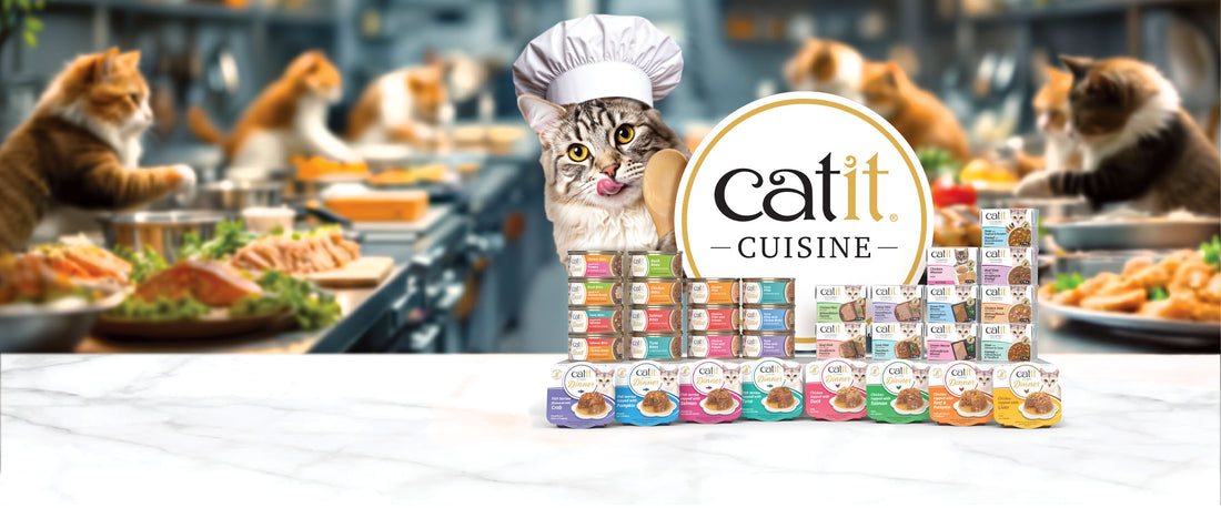 Catit Official UK Store – Catit UK - Official Catit Brand Store