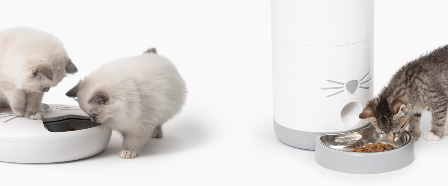 Catit UK - Official Catit Brand Store