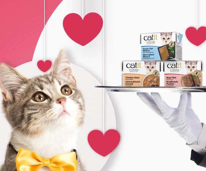 Catit Official UK Store – Catit UK - Official Catit Brand Store
