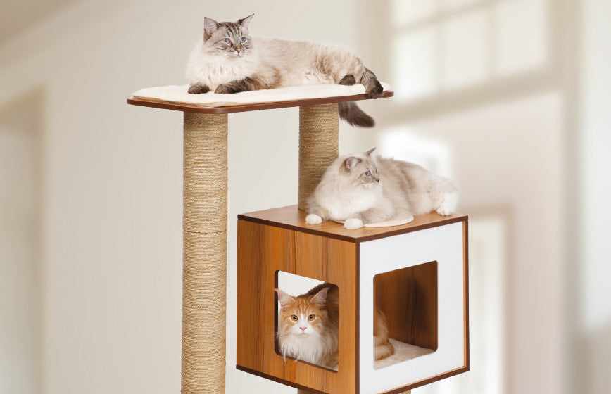 Catit Official UK Store – Catit UK - Official Catit Brand Store